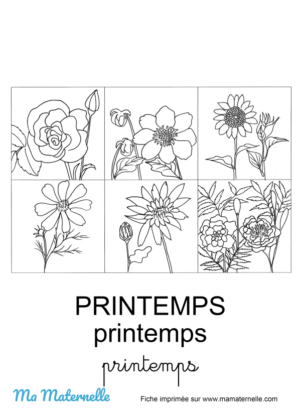 Activité : colorier - Ma Maternelle