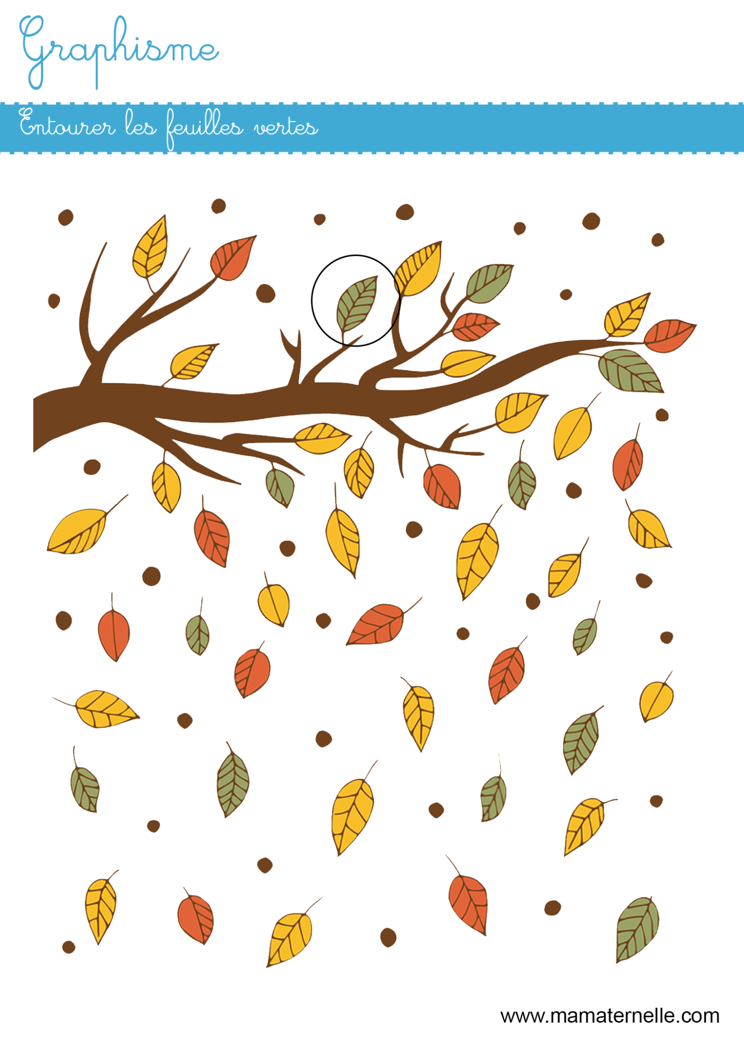 Graphisme : entourer les feuilles - Ma Maternelle