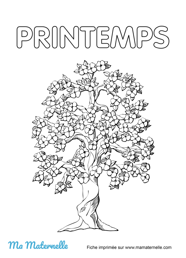 Activité : colorier - Ma Maternelle