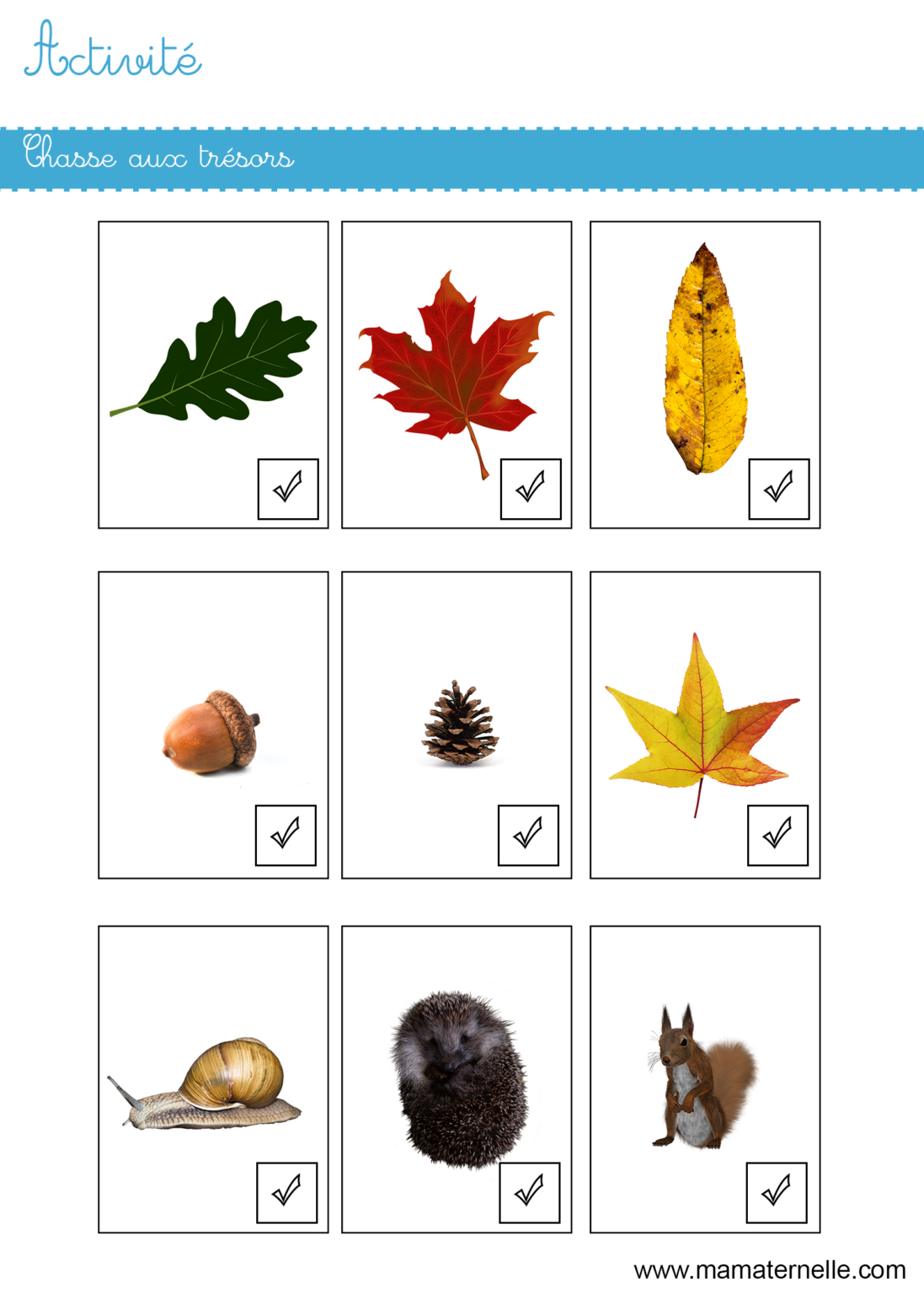 Activité : chasse aux trésors - Ma Maternelle