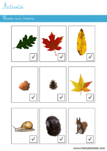 Activité : chasse aux trésors - Ma Maternelle