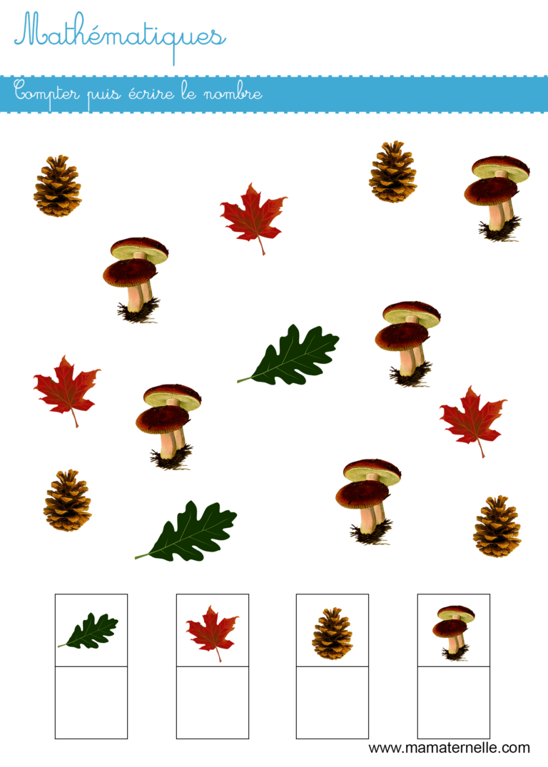 Mathématiques : compter puis écrire le nombre - Ma Maternelle