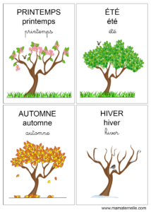 Outil pédagogique : cartes des saisons - Ma Maternelle