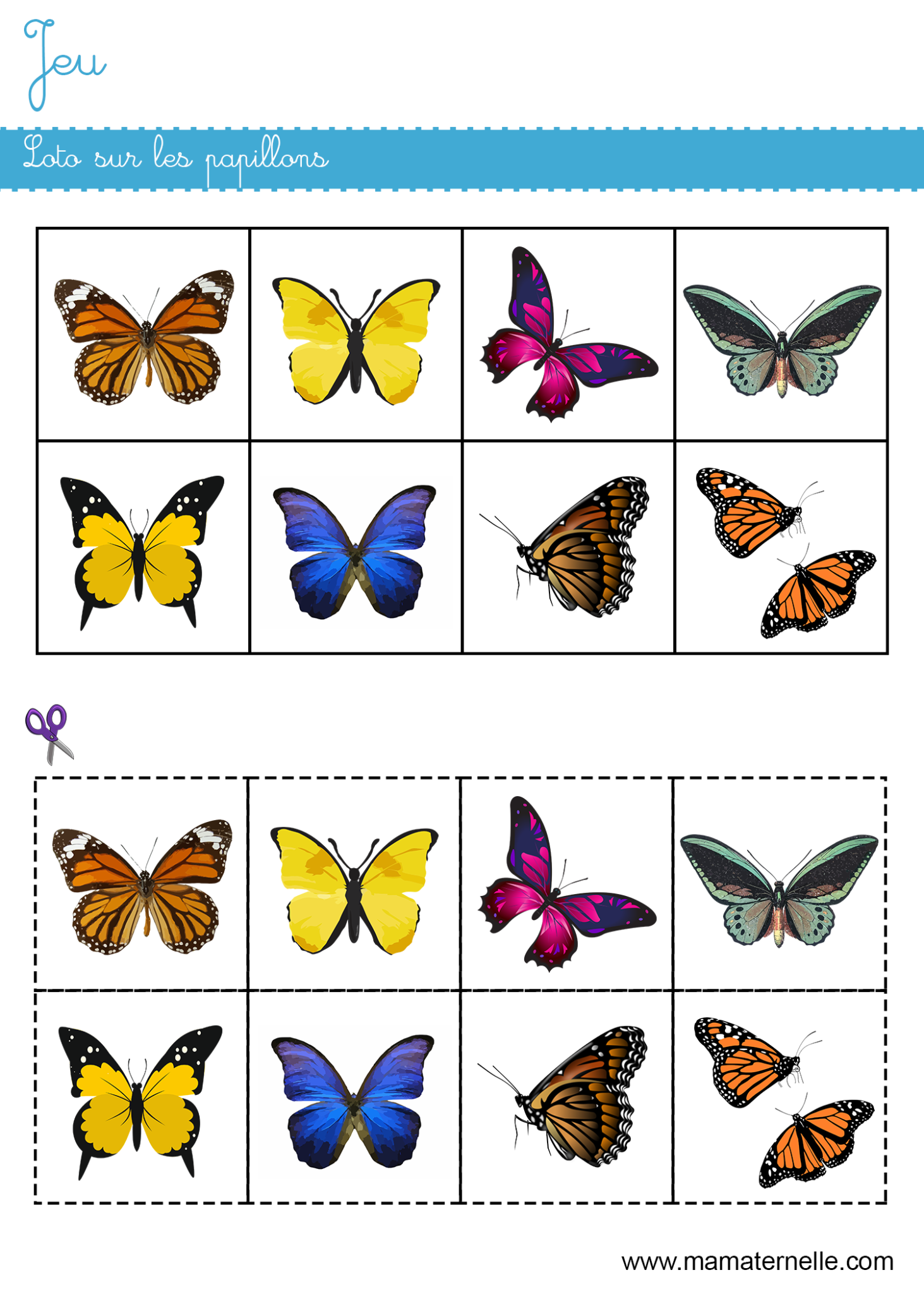Jeu : loto sur les papillons - Ma Maternelle