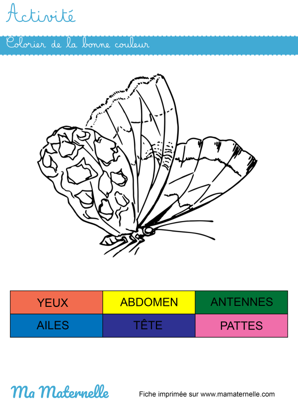 Activité : colorier de la bonne couleur - Ma Maternelle