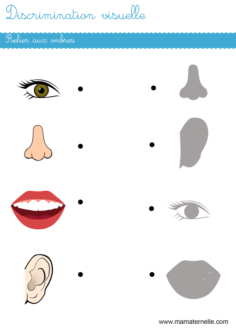 Discrimination visuelle : relier aux ombres - Ma Maternelle