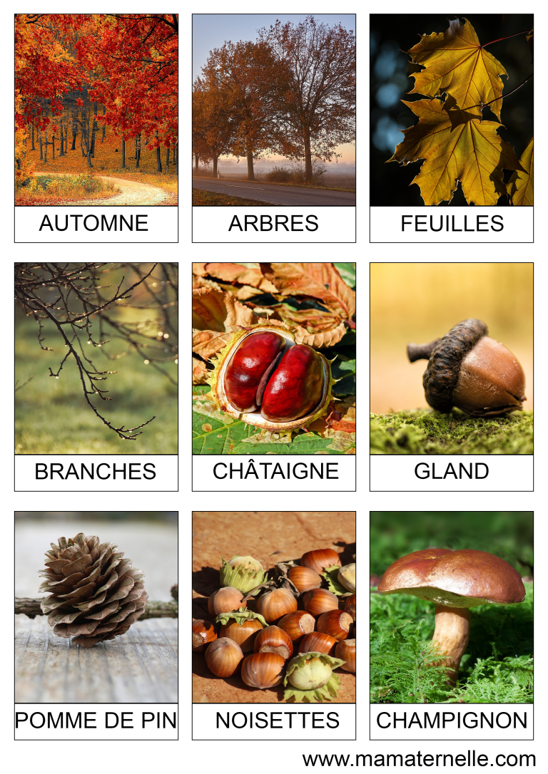 Cartes de nomenclature : Automne - Ma Maternelle