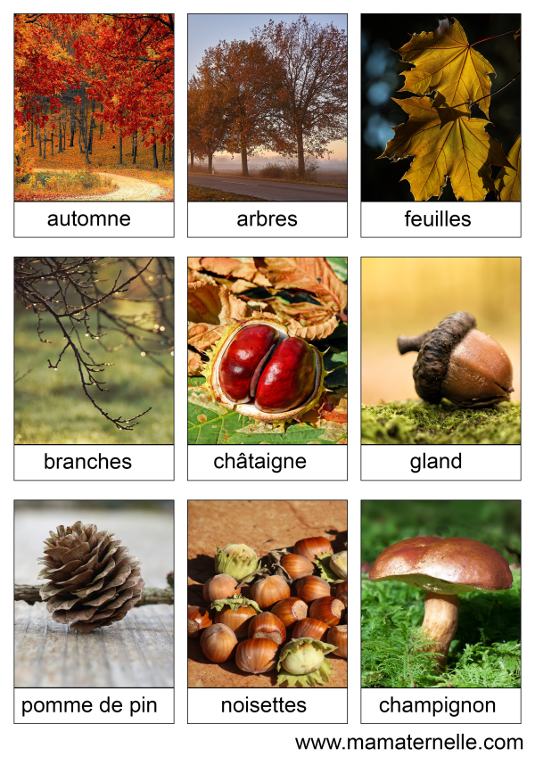 Cartes de nomenclature : Automne - Ma Maternelle
