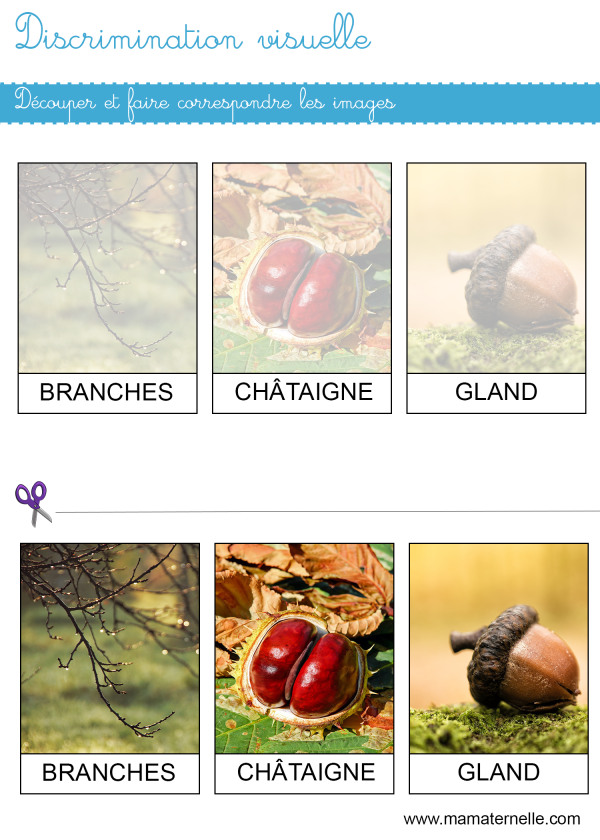 Discrimination visuelle : faire correspondre - Ma Maternelle