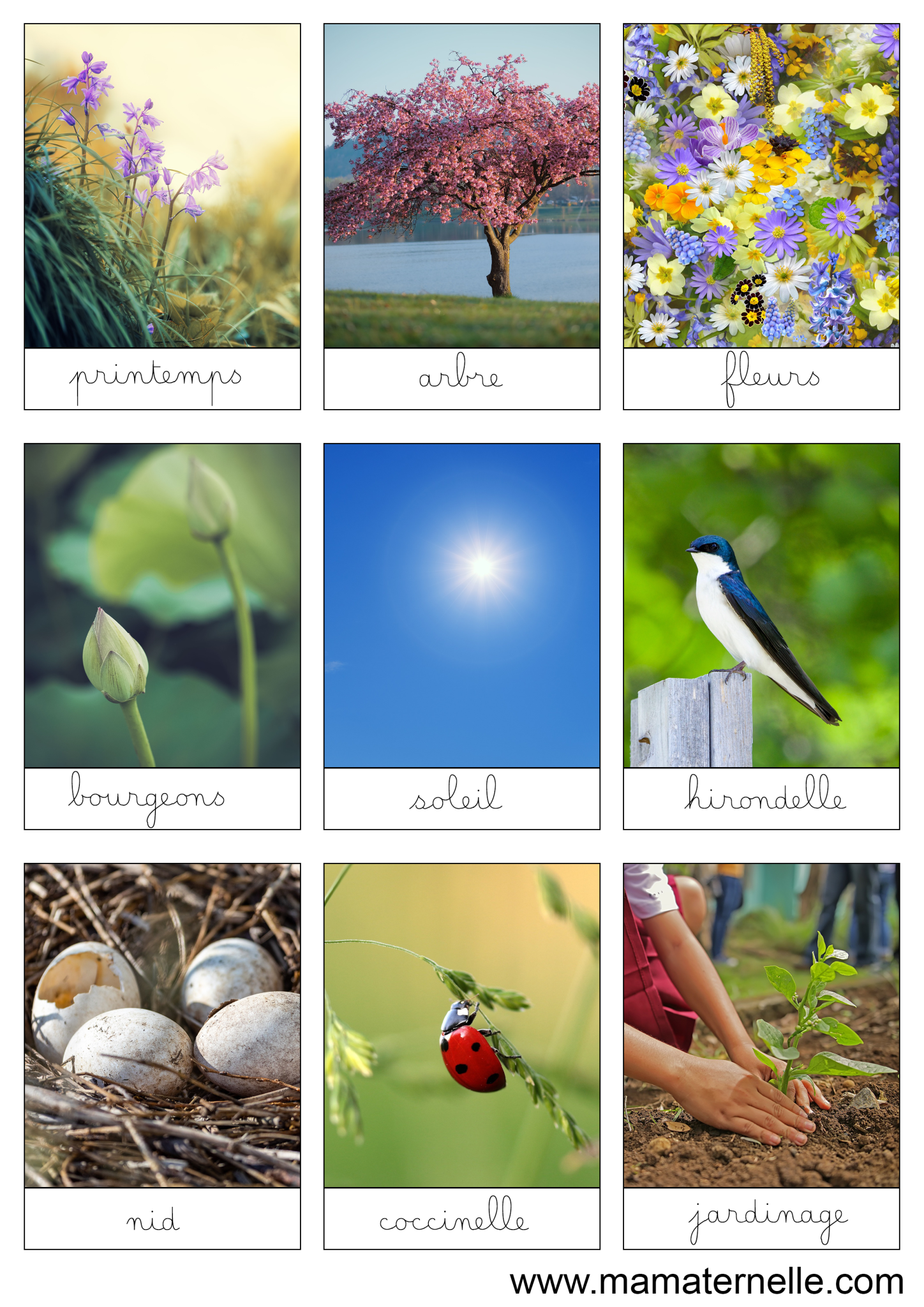 Cartes de nomenclature : Printemps - Ma Maternelle