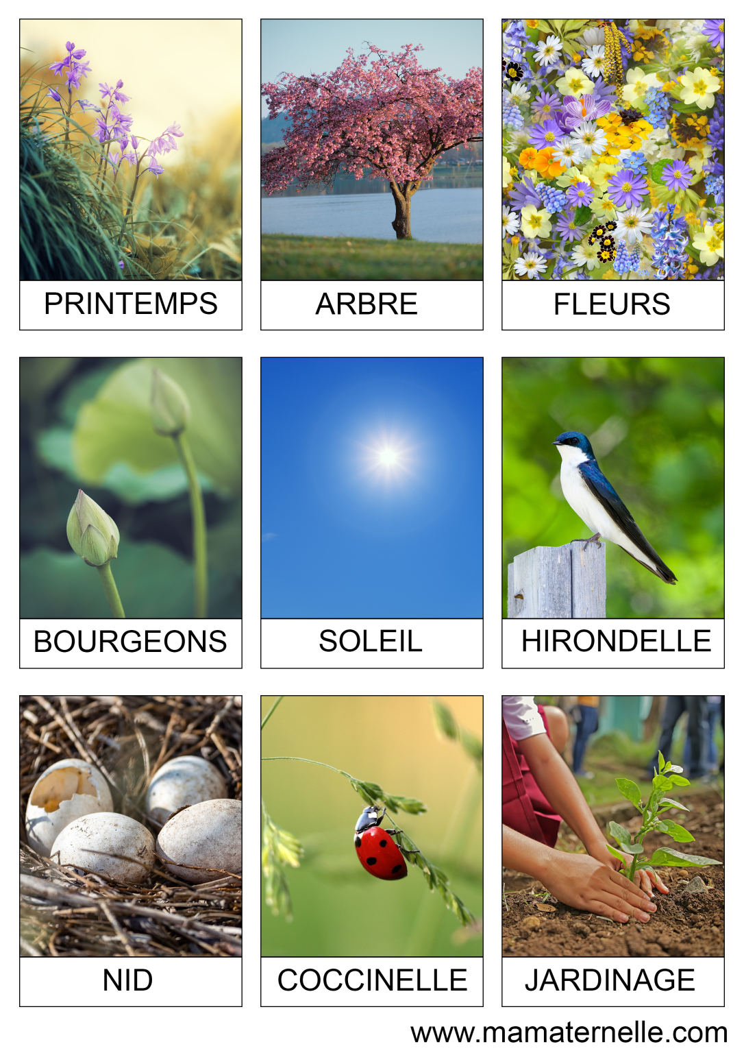 Cartes de nomenclature : Printemps - Ma Maternelle
