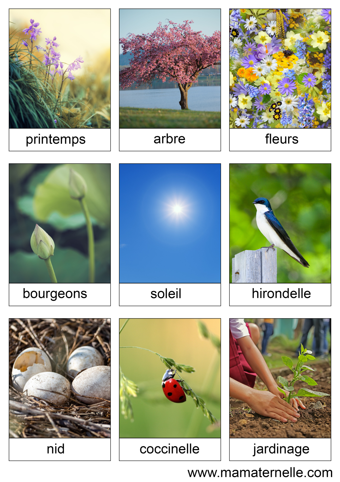 Cartes de nomenclature : Printemps - Ma Maternelle