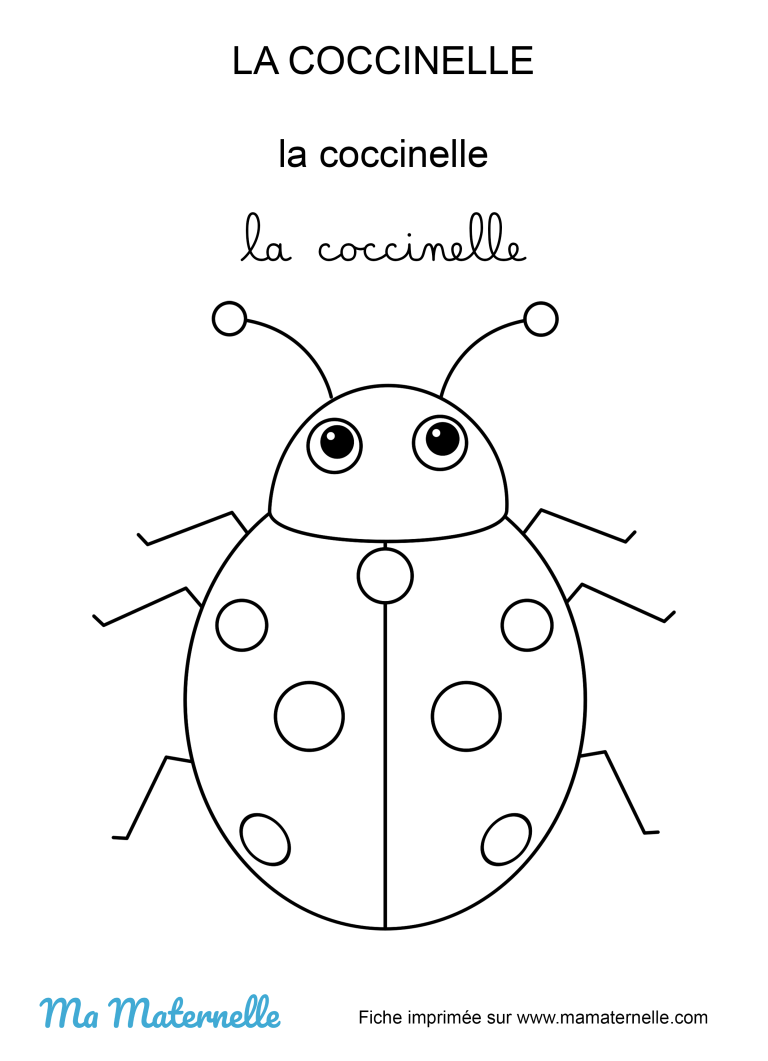 Activité : colorier - Ma Maternelle