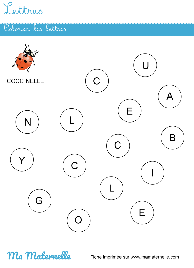 Exercices et ressources pédagogiques sur les coccinelles- Ma Maternelle