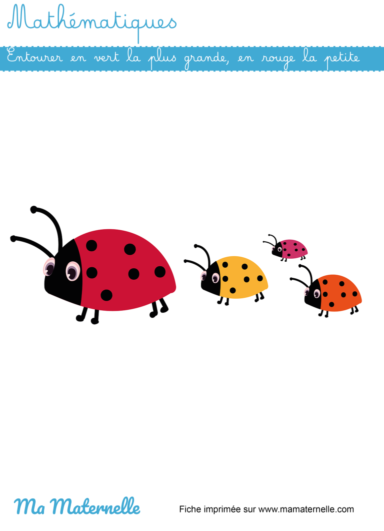 Exercices et ressources pédagogiques sur les coccinelles- Ma Maternelle