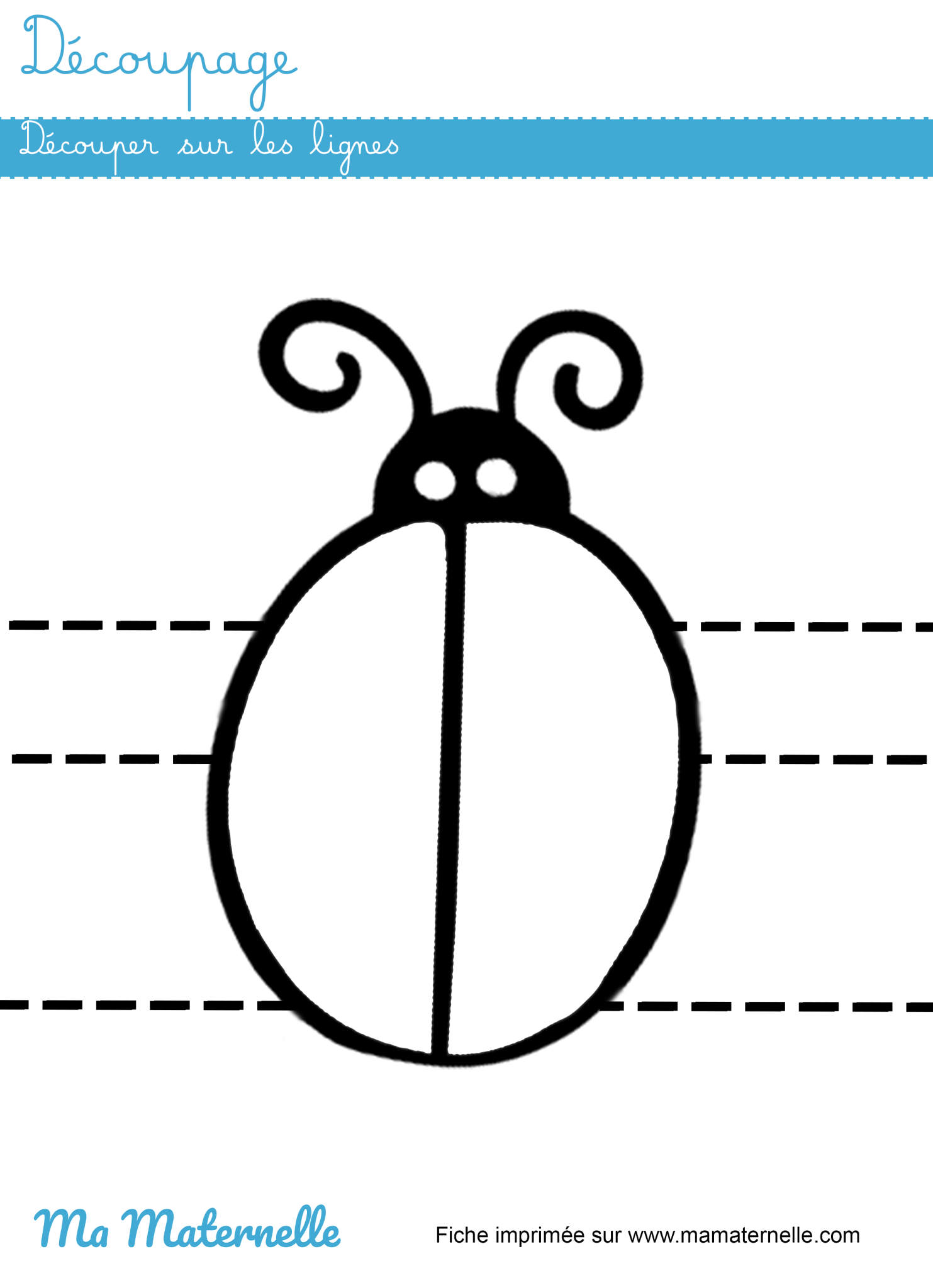 Exercices et ressources pédagogiques sur les coccinelles- Ma Maternelle