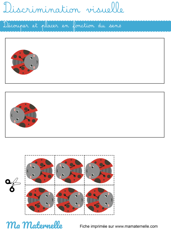 Discrimination visuelle : découper et placer - Ma Maternelle