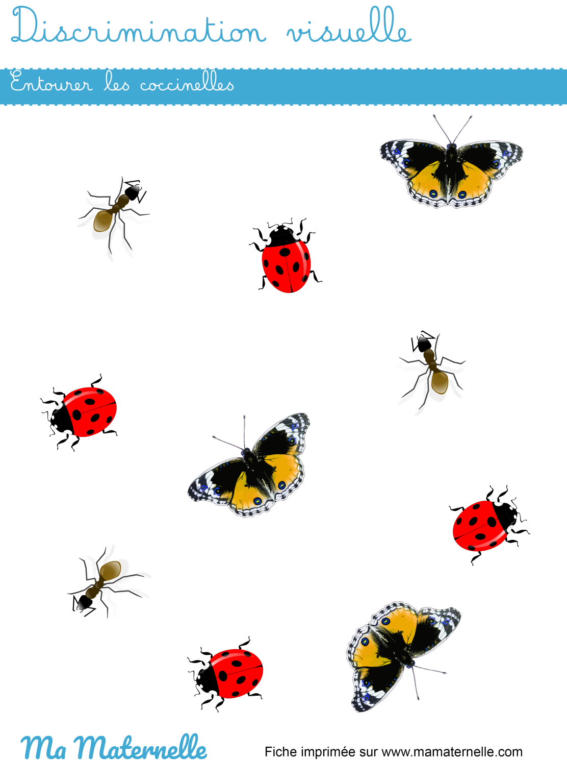 Discrimination visuelle : entourer les coccinelles - Ma Maternelle