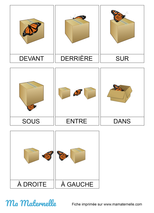 Cartes de nomenclature : prépositions de lieu - Ma Maternelle