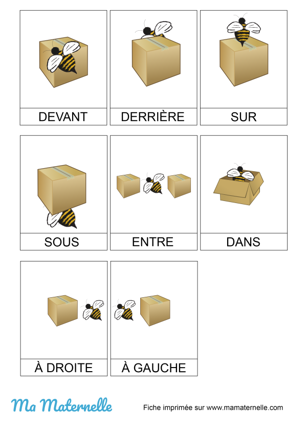 Cartes de nomenclature : prépositions de lieu - Ma Maternelle