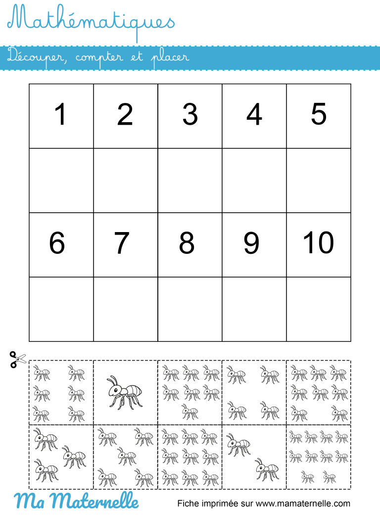Mathématiques : découper, compter et placer - Ma Maternelle