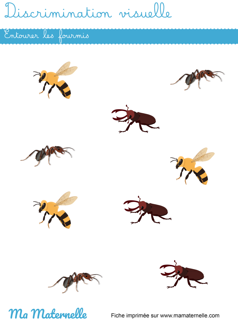 Discrimination visuelle : entourer - Ma Maternelle