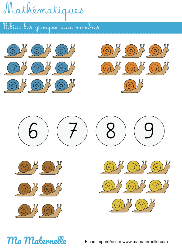 Mathématiques : relier les groupes aux nombres - Ma Maternelle